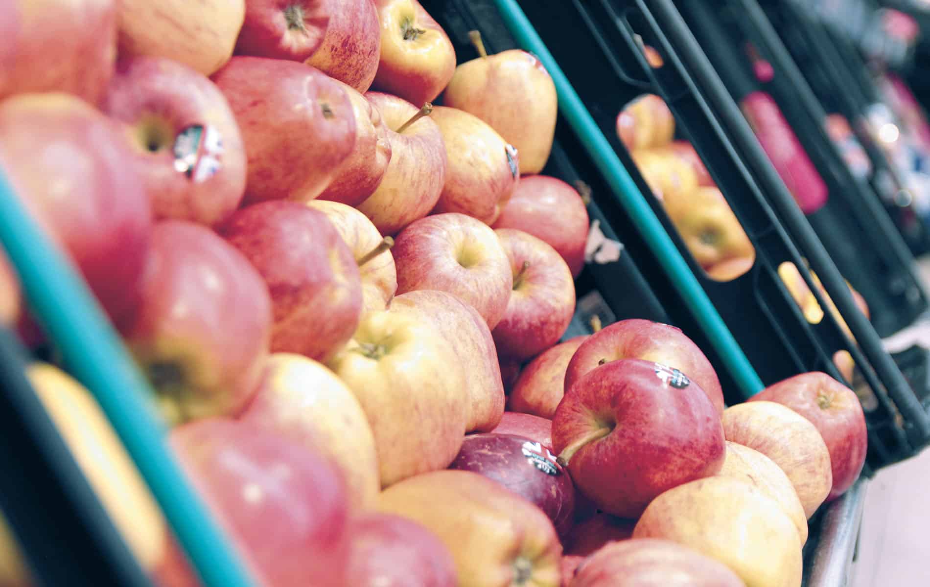 Case Study | Merchandising Support for Store Resets | RGIS